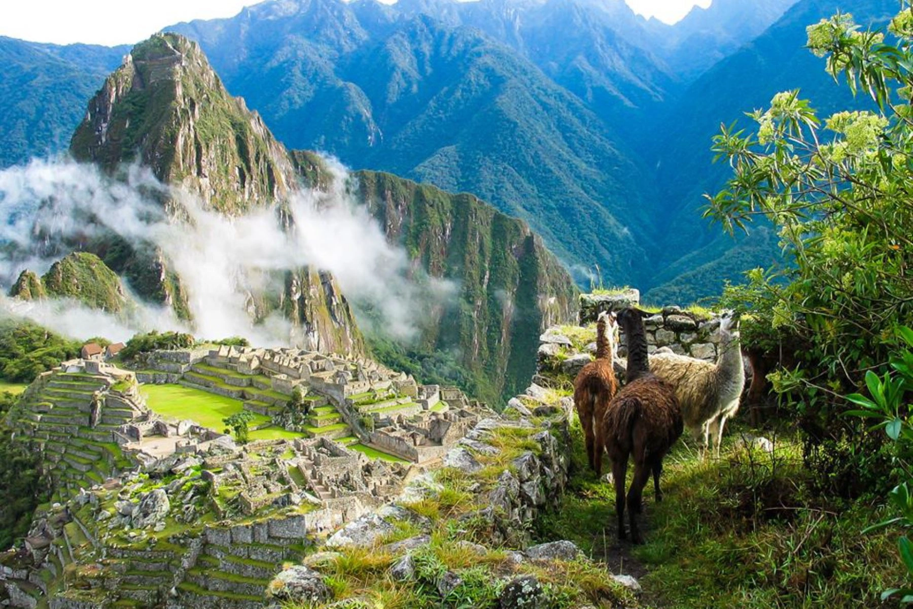 The 10 most visited protected natural areas of Peru - Illa Kuntur Travel