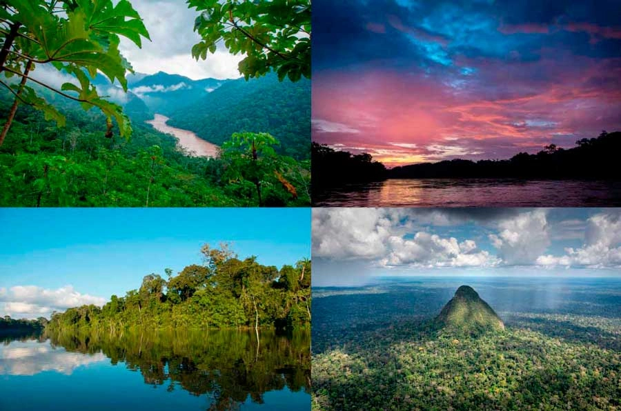 The 14 National Parks of Peru for nature lovers - Illa Kuntur Travel