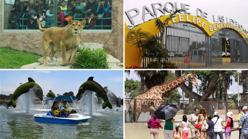 The 7 most outstanding zoos in Peru - Illa Kuntur Travel