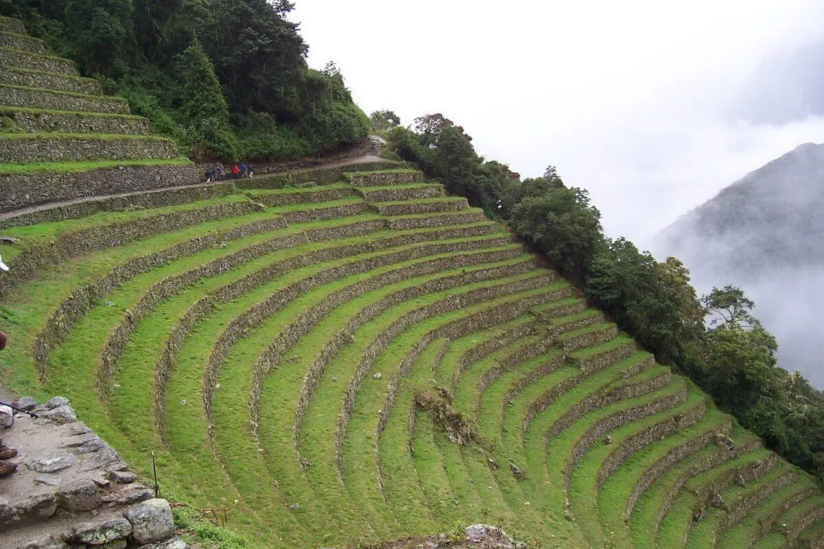 Wiñay Wayna: La joya oculta del Camino Inca - Illa Kuntur
